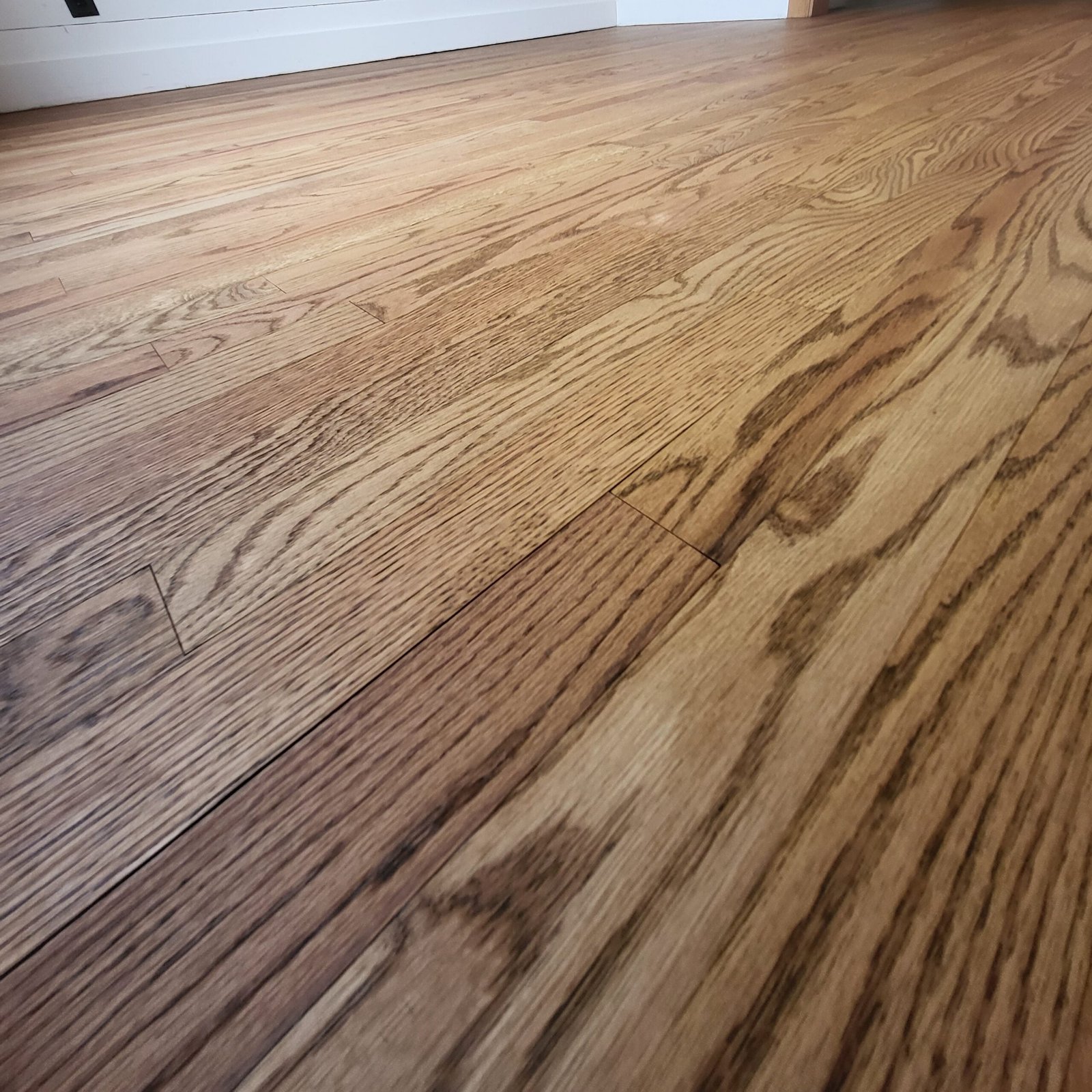 Dustless & Sandless Hardwood Refinishing - Rapid Revival